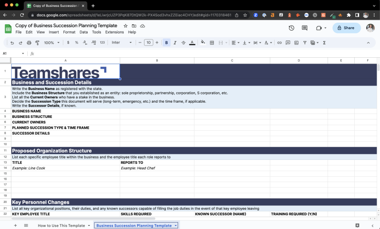 Succession planning template to transition a business in 8 months [Free]