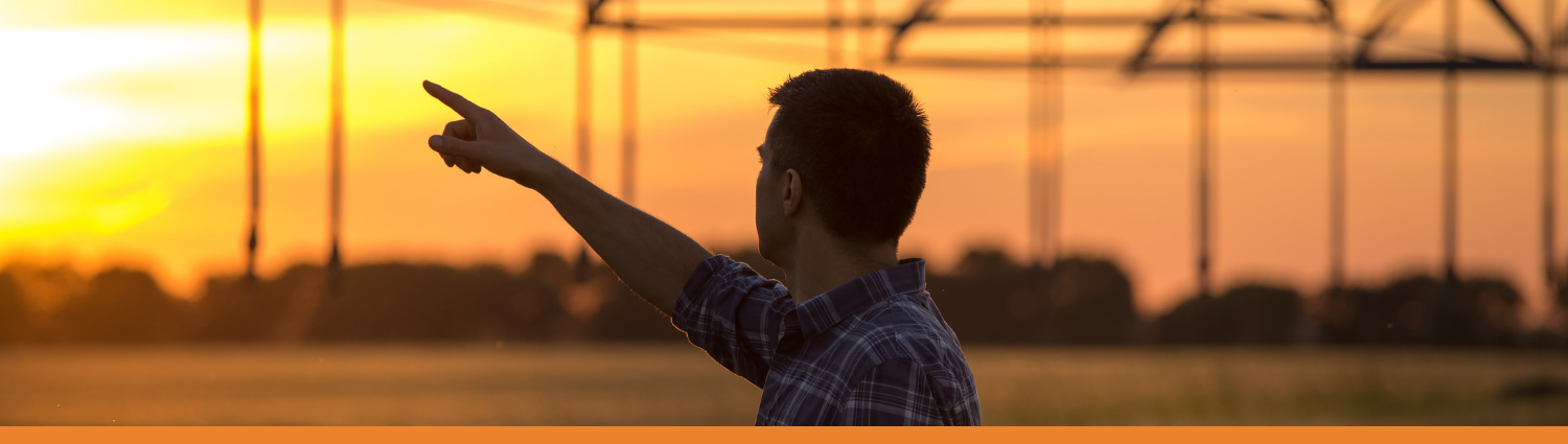 Go Green With Your Construction Projects & Unlock Efficiency In 2024 ...